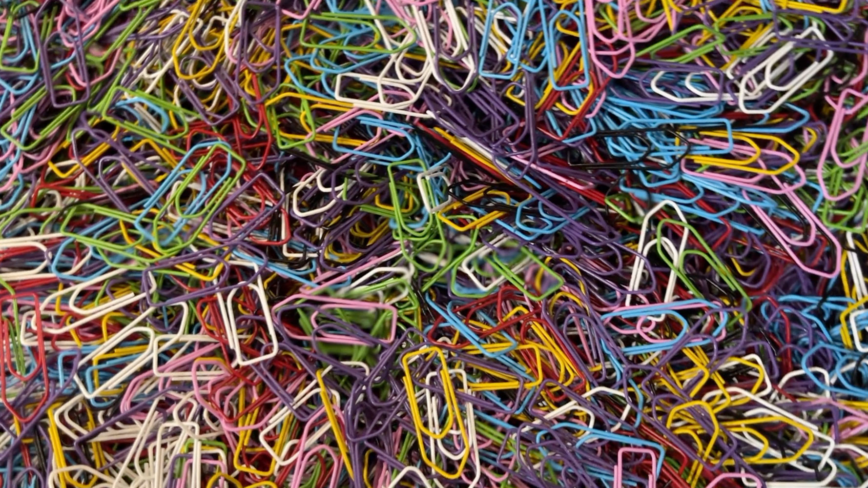 Representantes - Clips Bacchi