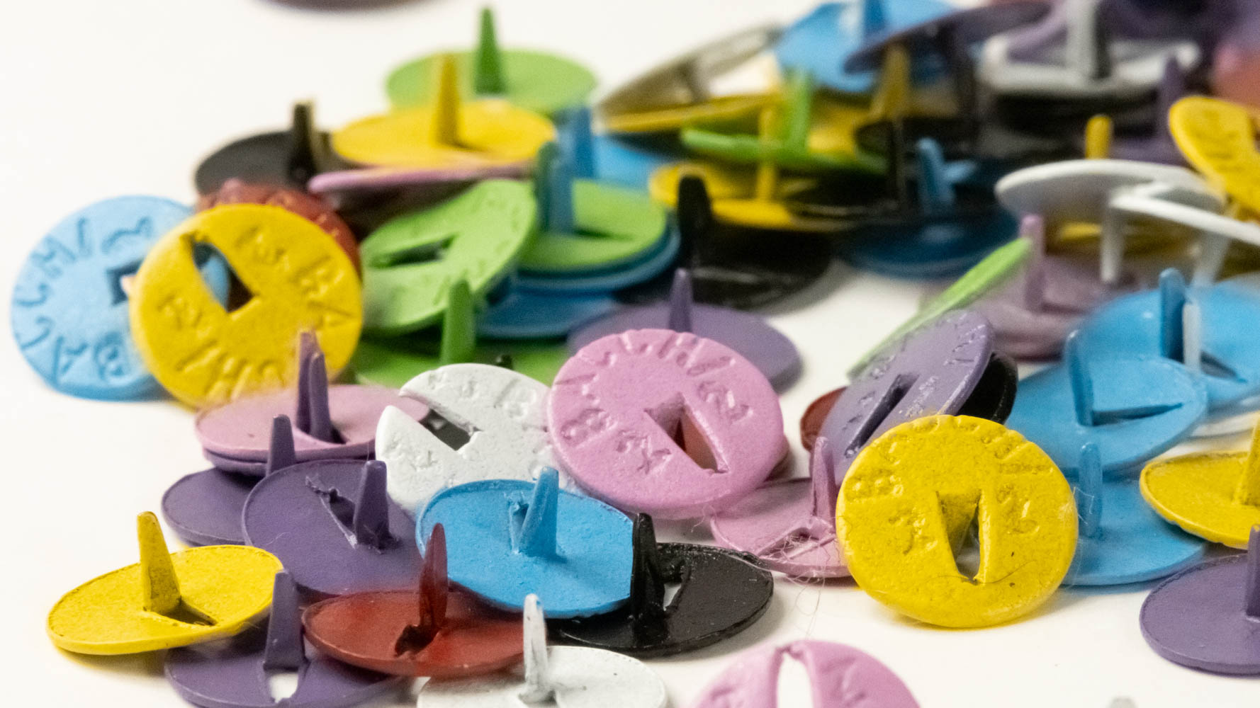 Contato - Clips Bacchi